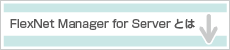 サーバーライセンス管理製品 「FlexNet Manager for Server」：License Guard：株式会社日立システムズ