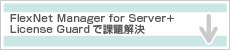 サーバーライセンス管理製品 「FlexNet Manager for Server」：License Guard：株式会社日立システムズ