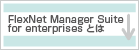 IT資産管理製品 「FlexNet Manager Suite」アプリケーションストア「App Portal」：License Guard ...