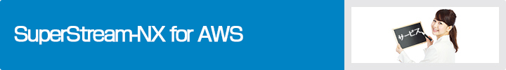 SuperStream-NX for AWS｜SuperStream（スーパーストリーム） 会計システム・人事給与システムなら：株式会社日立システムズ